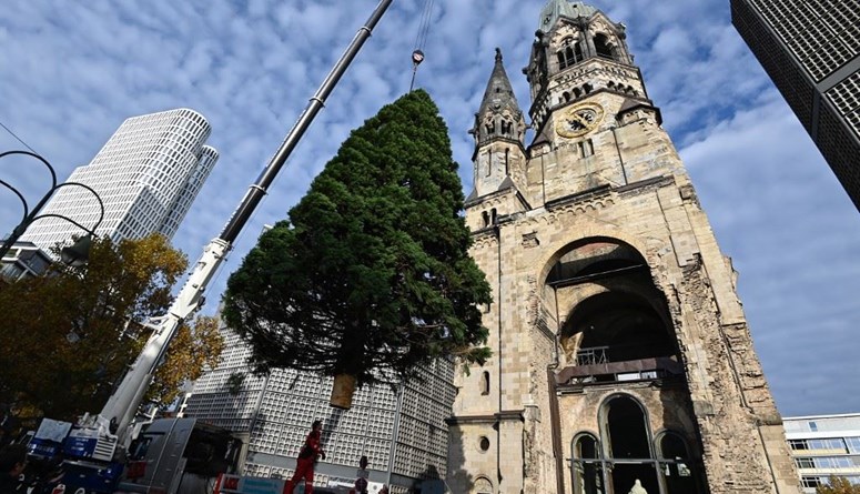 إصابات فيروس كورونا بألمانيا تتجاوز 775 ألف حالة | النهار